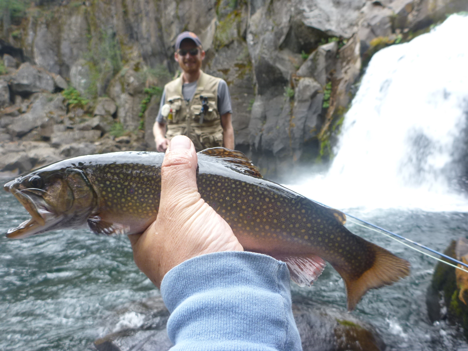 northern california steelhead guide | mtshasta.com - Outfitter & Actor ...